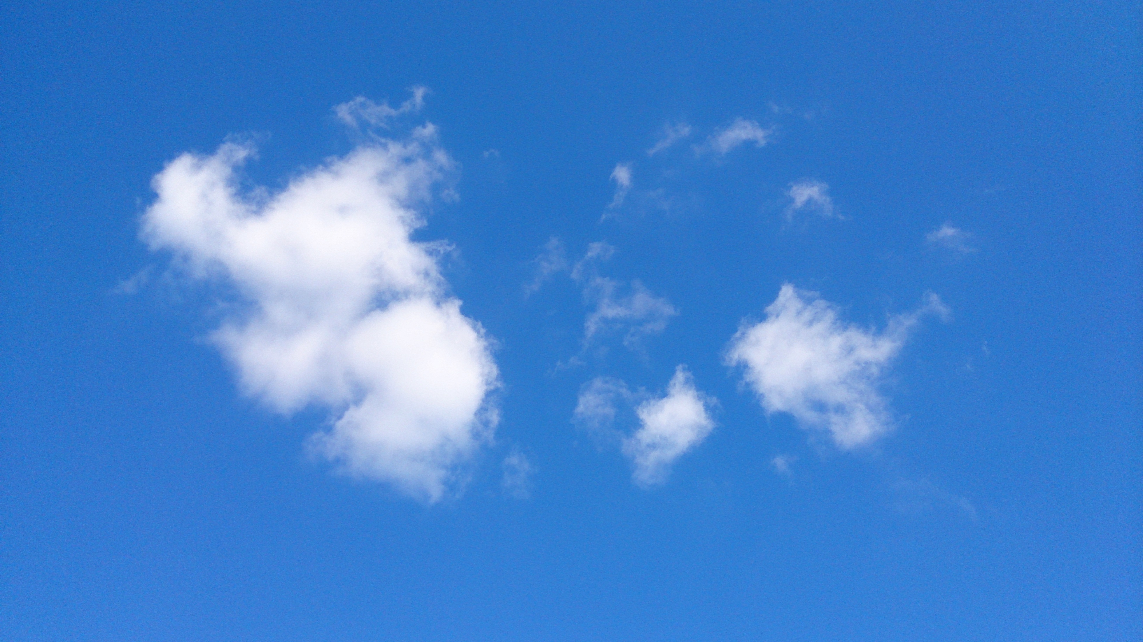 陰画！ – やまなみ税理士法人ブログ